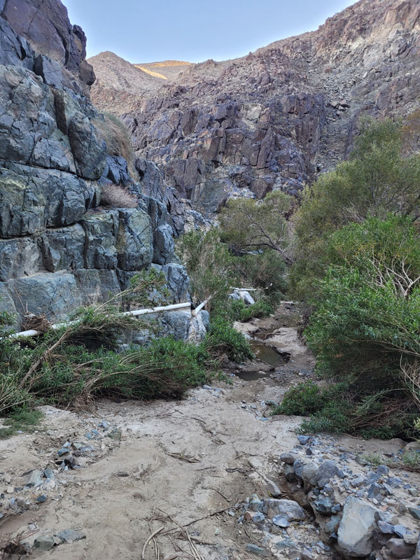 Death Valley is anything but dead! – Edgar's Adventures